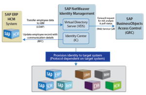 The Need for SAP Identity Management
