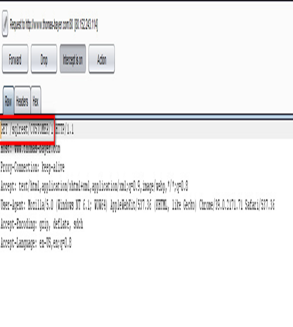 Understanding and Testing Web Services- Part 1